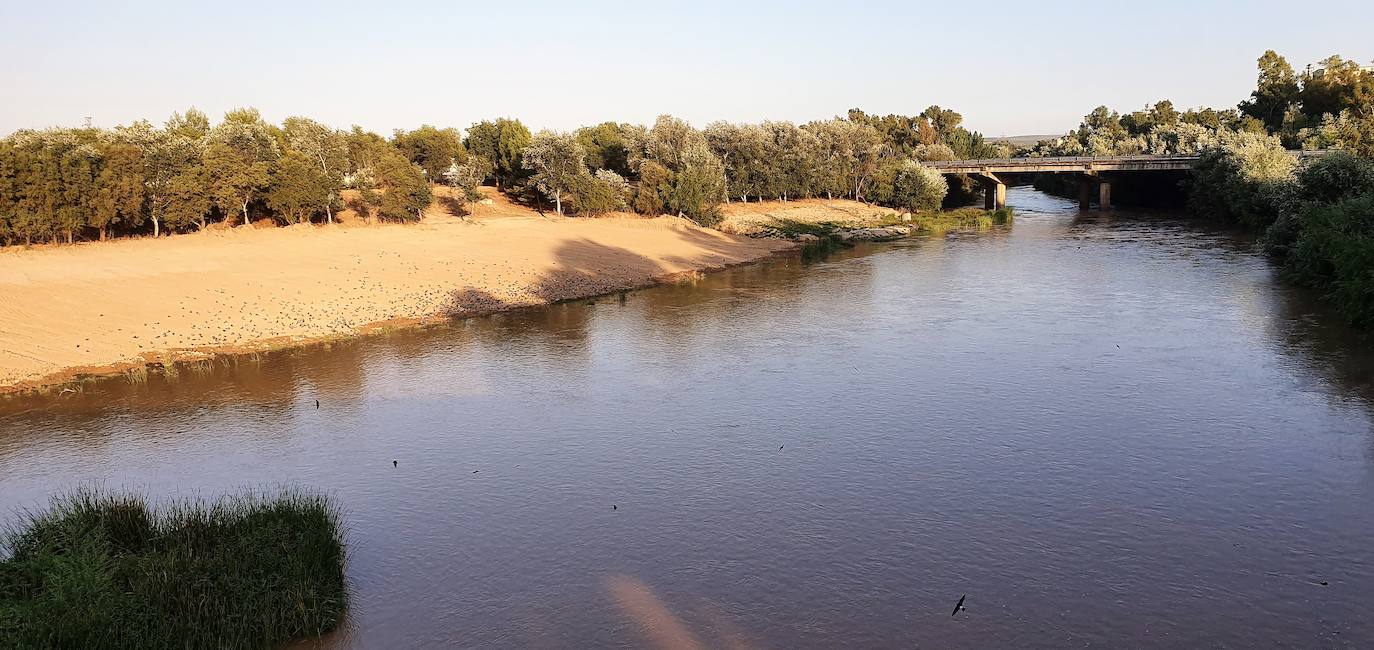 El colectivo Ameco se abre a dialogar con la CGH para restaurar la ...