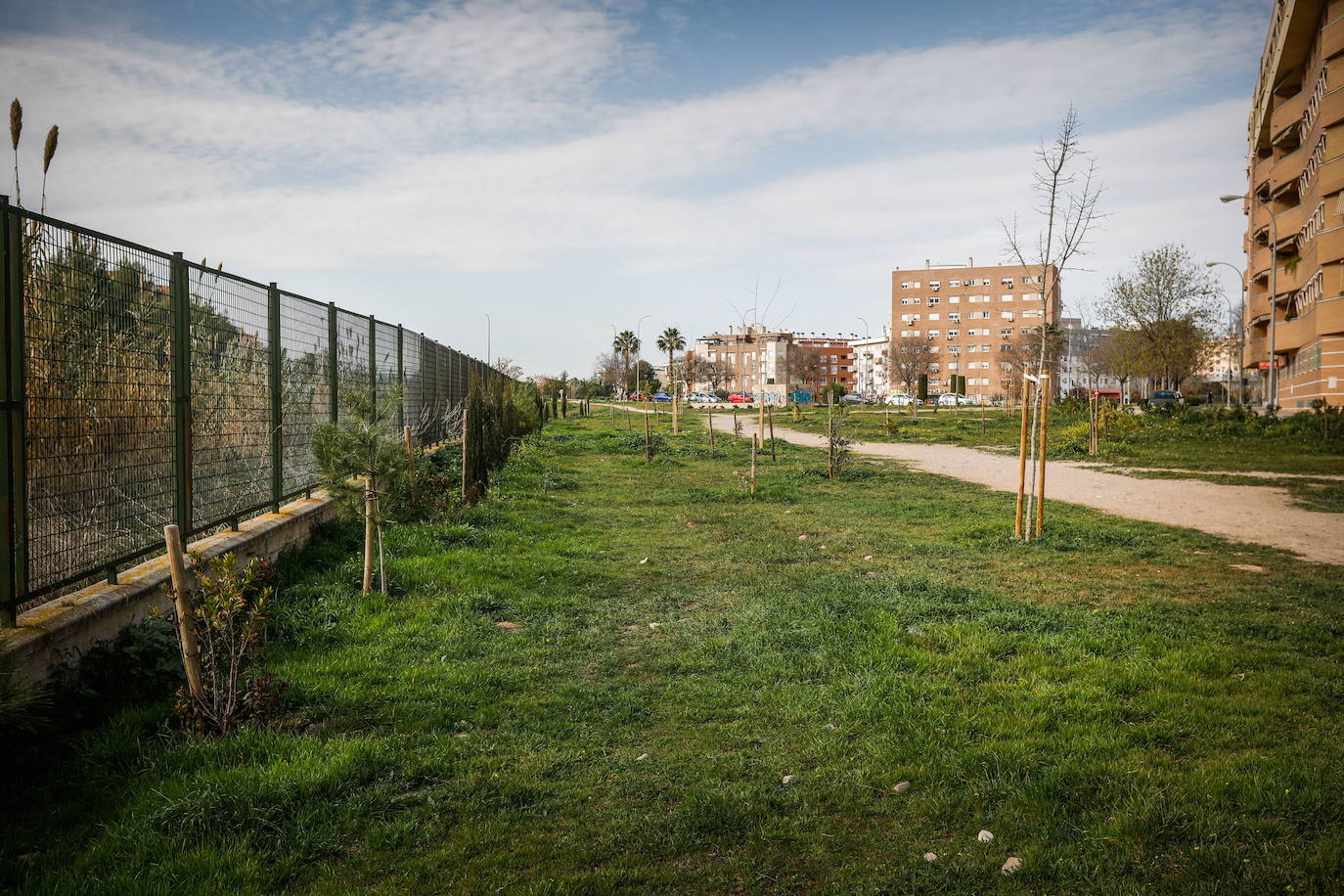 Urbanismo aumenta en 5.000 metros cuadrados las zonas verdes de Beiro ...