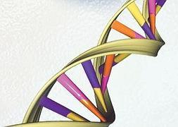 Científicos añaden dos letras al alfabeto genético conocido | Ideal