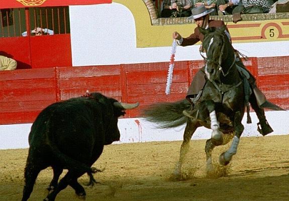 Muere Cagancho, el caballo más famoso de la historia del rejoneo | Ideal